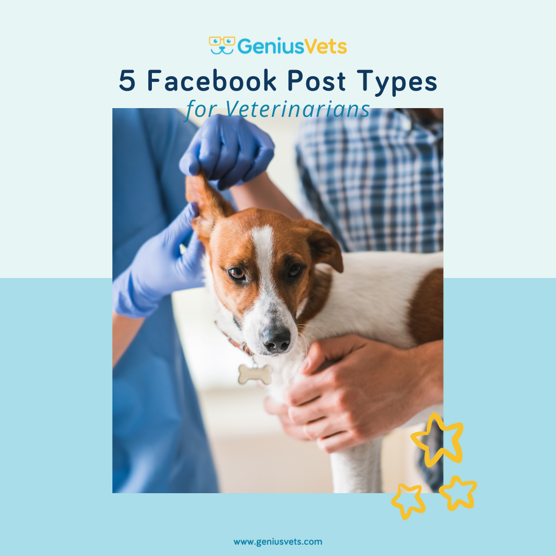 5 Facebook Post Types For Veterinarians